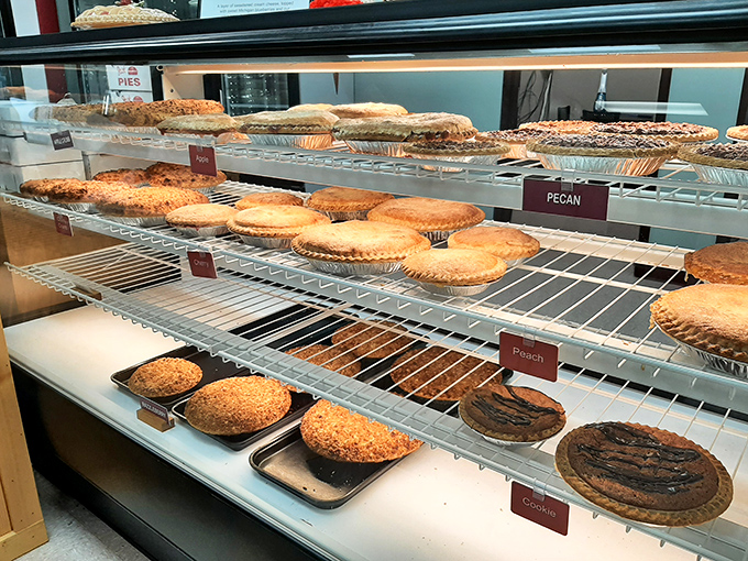 The display case—a museum of edible masterpieces where every shelf tells a different delicious story.