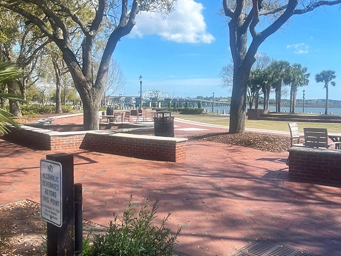 Beaufort's waterfront park offers front-row seats to nature's daily performance. Dolphins included in the admission price—which happens to be free.