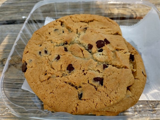 A chocolate chip cookie that looks like it could win a state fair ribbon—thick, golden, and studded with chocolate like a night sky with stars.