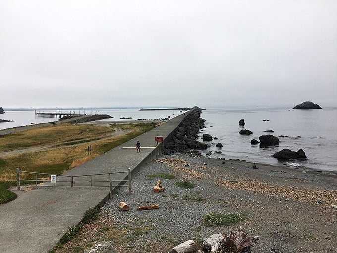 The coastal path reminds you that the best things in life require a little effort. Just watch your step—the Pacific isn't known for gentle landings.
