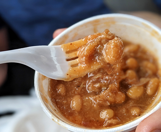 These beans aren't just a side dish—they're a supporting actor so good they could win their own culinary Oscar.