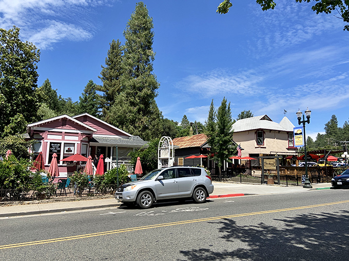 Colorful awnings and historic storefronts create Placerville's distinctive commercial blocks, where shopping local isn't trendy—it's tradition.
