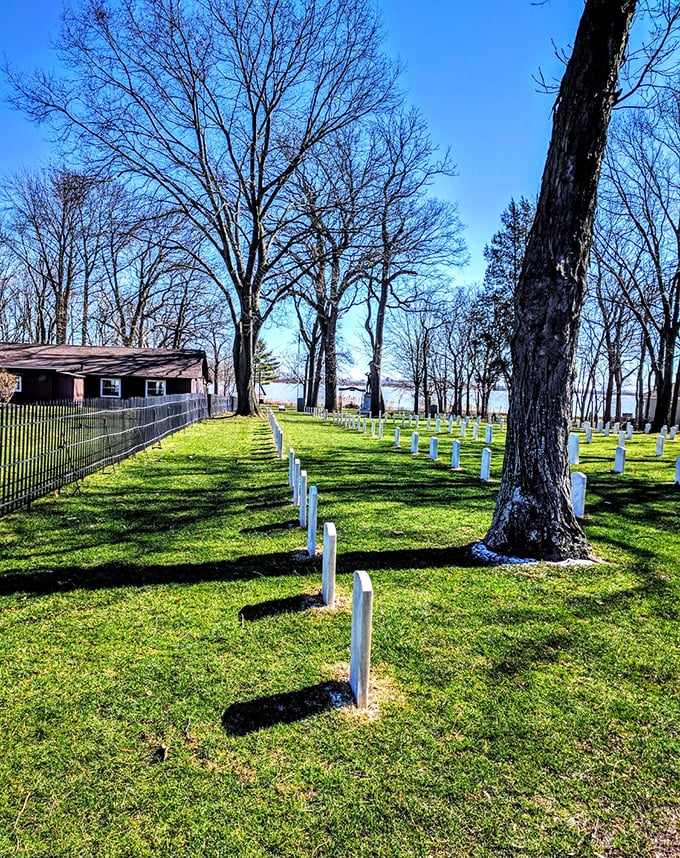Johnson's Island Confederate Cemetery offers a solemn, beautiful reminder of history—where fallen soldiers rest peacefully under a canopy of trees beside Lake Erie's shores.