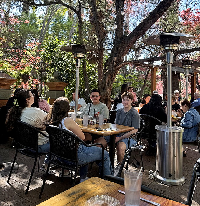 The outdoor patio feels like dining in an enchanted garden, where Sacramento's notorious heat takes a polite step back.