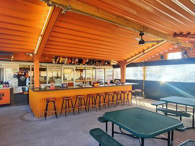 The counter seating area, where strangers become neighbors and the baseball caps overhead tell stories of communities, loyalties, and vacation souvenirs.