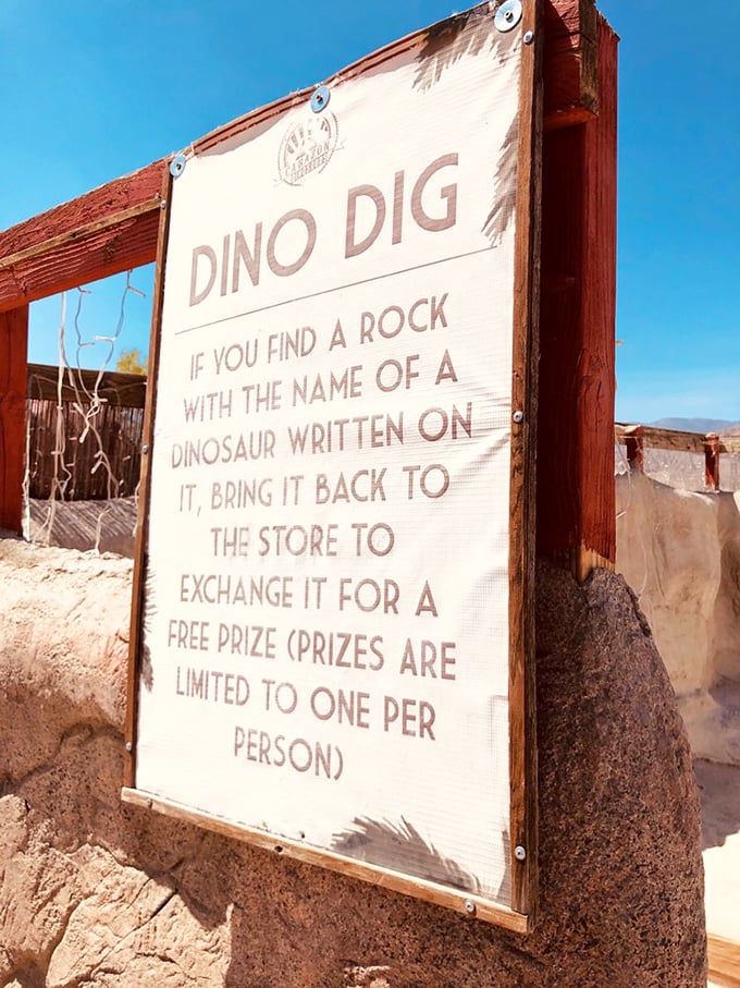The "Dino Dig" offers a chance to unearth prehistoric treasures – archaeology meets treasure hunt in this clever desert activity.
