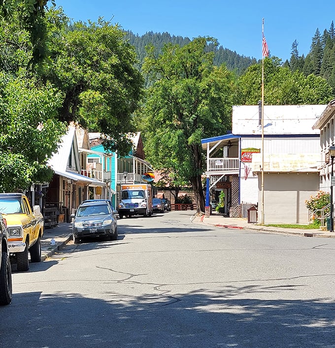 Downtown Downieville basks in summer sunshine, where parked cars outnumber pedestrians and mountains stand guard over every transaction.