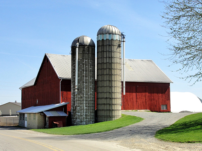This isn't just a picturesque farm—it's a working time capsule where methods refined over centuries still yield the perfect harvest.