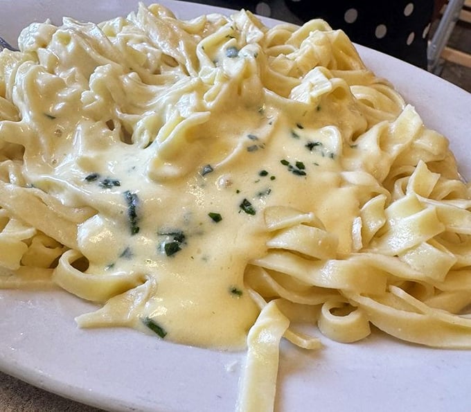 Fettuccine Alfredo so creamy it should come with its own cardiologist's business card – but some pleasures are worth the extra treadmill time.