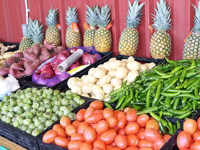 Nature's color palette on full display. These aren't just fruits and vegetables—they're ingredients waiting to star in your next homemade salsa masterpiece.