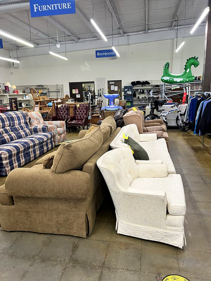 The furniture section: where sofas of all personalities gather like characters at a reunion, each hoping you'll take them home.
