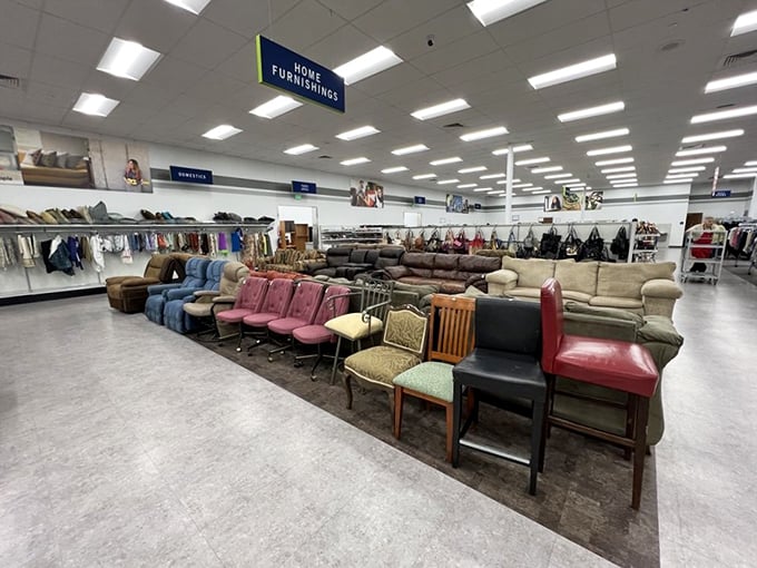 The furniture section resembles a living room lineup—each sofa silently competing for the chance to cradle your next Netflix marathon.