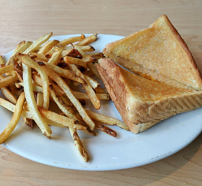 The humble grilled cheese sandwich, elevated to art form through the perfect balance of butter-crisped bread and melty cheese. Those fries aren't sidekicks—they're co-stars.