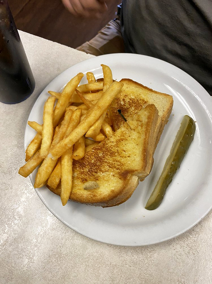 Sometimes the simplest pleasures are best—a perfectly executed grilled cheese with golden fries and a pickle spear for good measure.