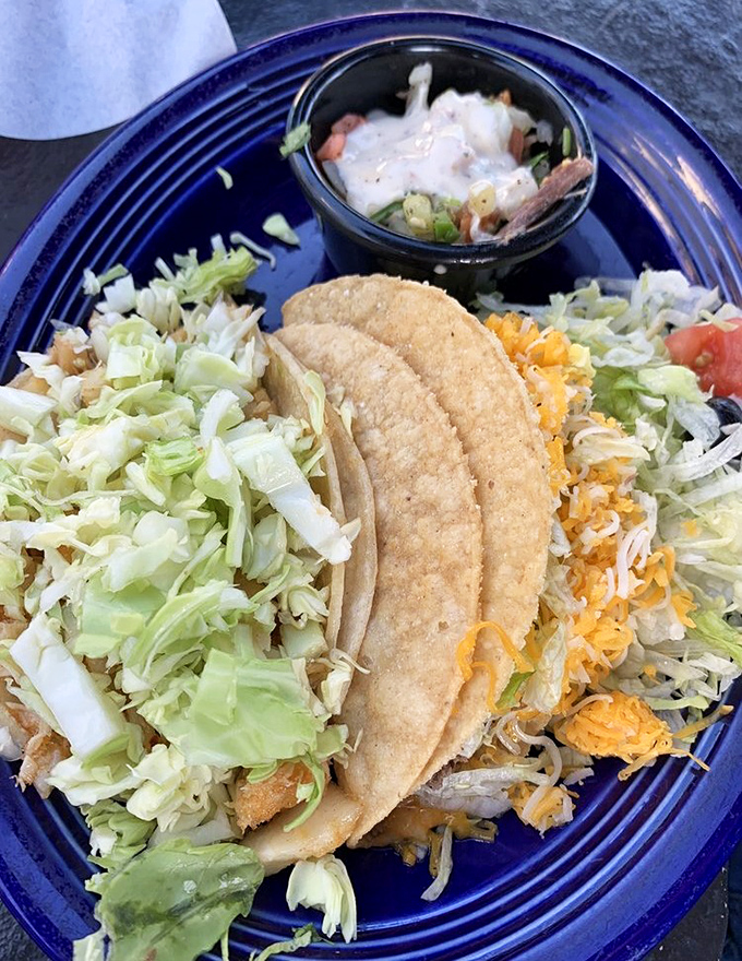 These tacos aren't just served—they're presented with pride, nestled on that cobalt blue plate like the culinary royalty they are.