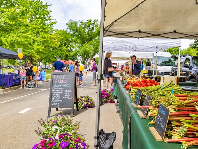 At Hinsdale's farmers market, vegetables are displayed with the reverence art galleries reserve for Picassos. That asparagus deserves its own spotlight.