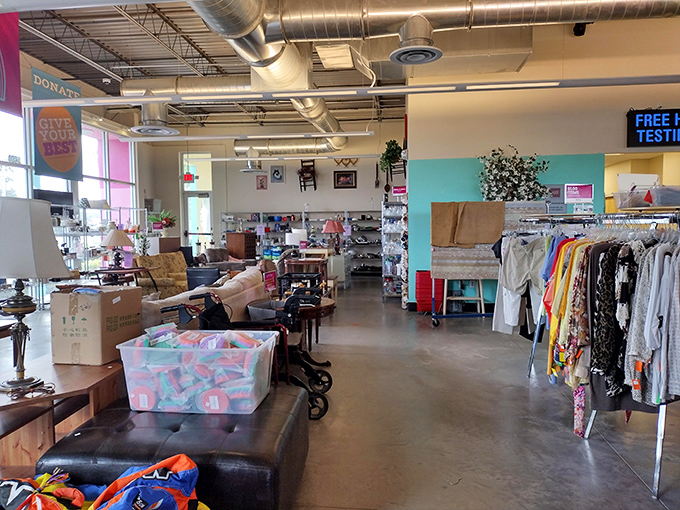 Wide aisles and natural light create a shopping experience that feels more boutique than bargain basement.