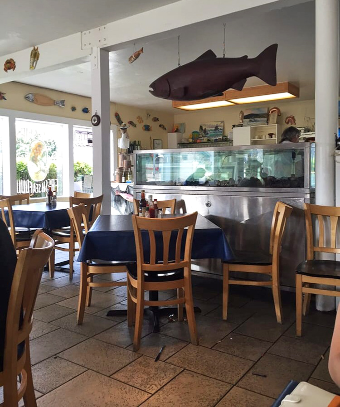 That giant fish hanging from the ceiling isn't just decoration—it's a promise of what awaits. The display case gleams like an aquatic jewelry store.