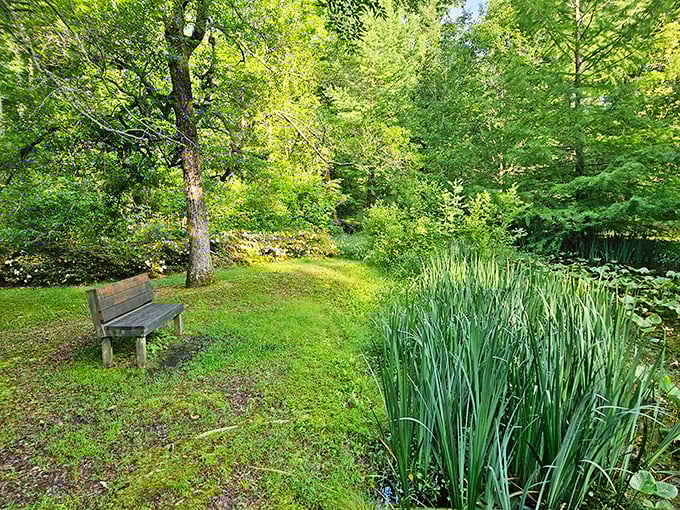 Kirkwood Common provides green space where community happens naturally, a reminder that the best things in life—like afternoon sunshine—remain gloriously free.