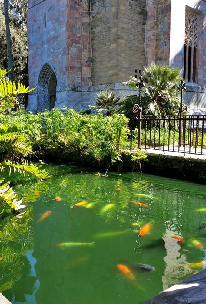 Where architecture meets aquatics: koi fish add living brushstrokes of orange and gold to this serene reflecting pool.
