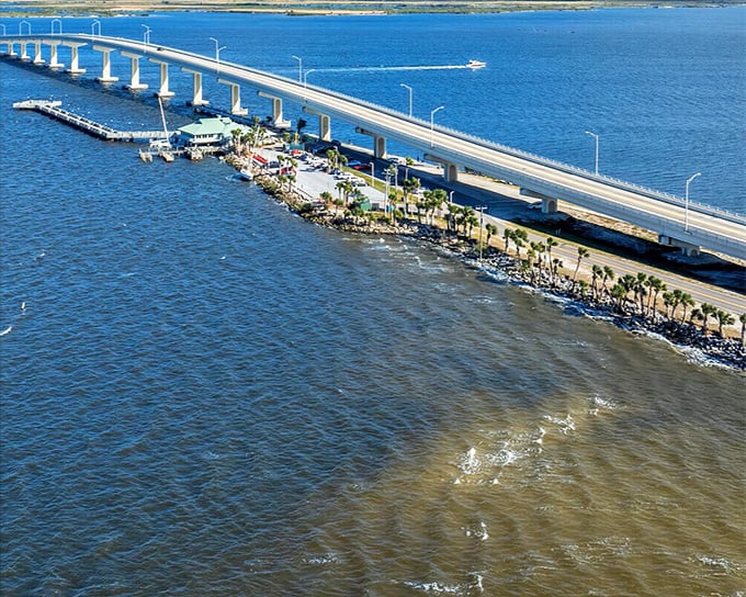 The Max Brewer Bridge stands tall, connecting communities and offering front-row seats to spectacular Space Coast sunsets.