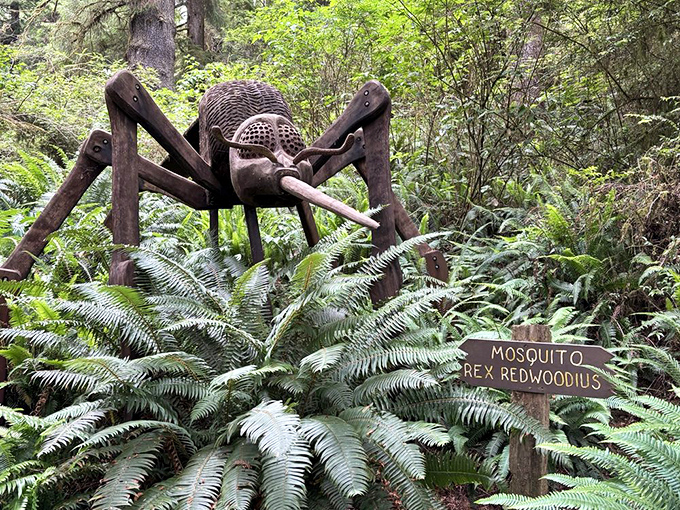 "Mosquito Rex Redwoodius" proves that even in a forest of giants, someone has maintained their sense of humor—and artistic talent.
