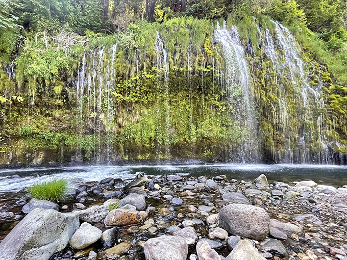 Mossbrae Falls emerges from moss-covered rocks like something from a fairy tale, minus the expensive theme park admission.