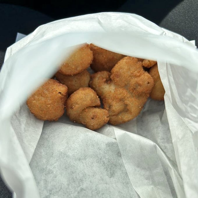 Fried mushrooms that deliver that perfect crunch-to-squish ratio – the unsung heroes of any proper tavern meal.