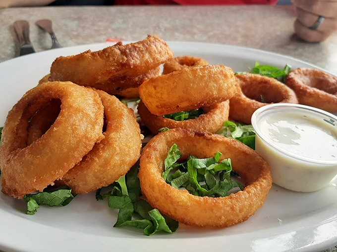 Onion rings with the perfect crunch-to-give ratio—the kind that make you wonder why anyone bothers with fancy appetizers when perfection is this simple.