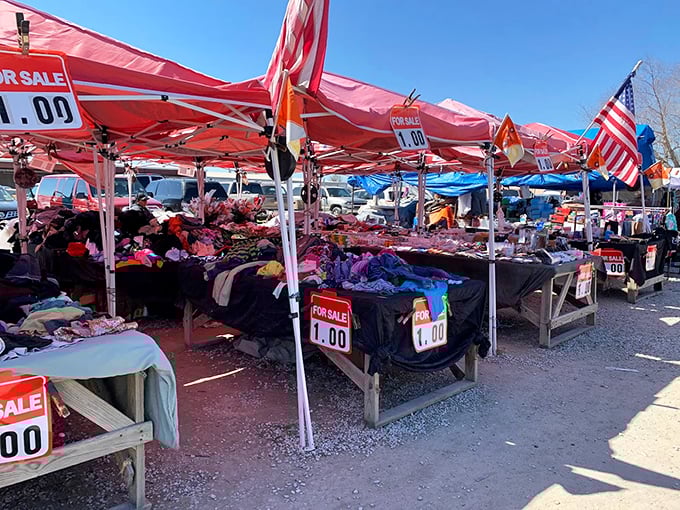 The dollar-deal tent, where bargain hunters experience the thrill of the find without the pain in the wallet.