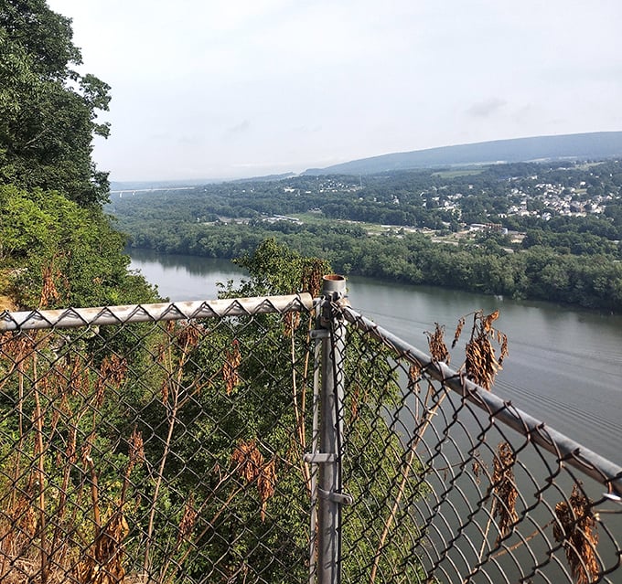 The chain-link fence doesn't diminish the majesty—it just frames nature's masterpiece like a gallery's finest offering.