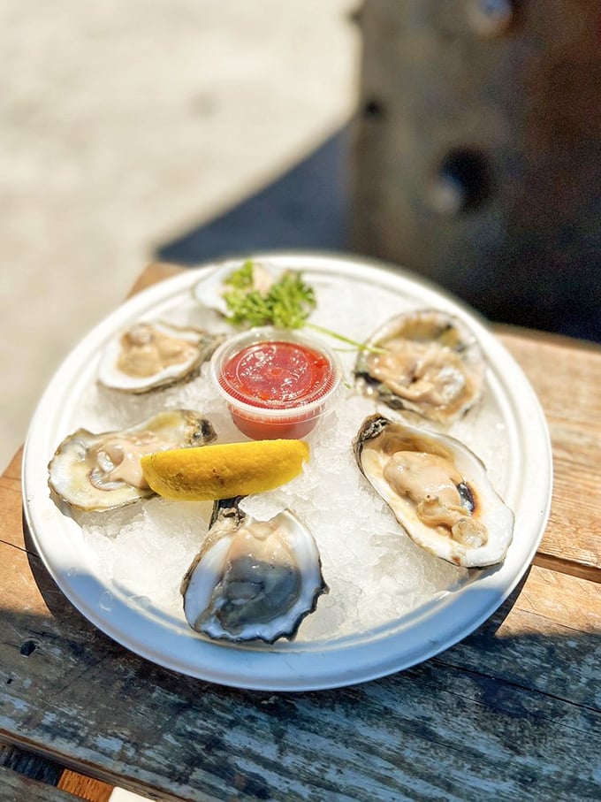 Oysters on the half shell – nature's perfect appetizer. These briny jewels need nothing more than a squeeze of lemon and a moment of appreciation.