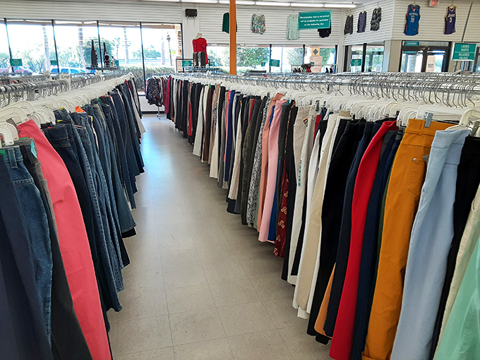The pants wall—where your next favorite pair of jeans hangs between someone else's fashion regrets and forgotten treasures.