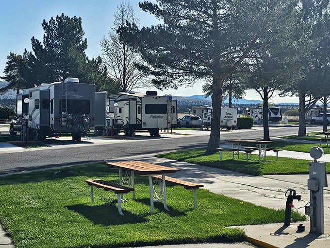 RV living reaches new heights of comfort in Susanville's campgrounds, where your home-on-wheels enjoys mountain views most condos can't match.