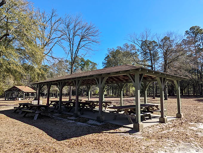 Dining al fresco with a side of history. These CCC-built picnic shelters have hosted generations of family gatherings and precisely zero food delivery apps.