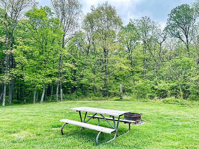 Nature's dining room awaits with the best view in town. This picnic spot offers the kind of ambiance fancy restaurants try desperately to recreate indoors.