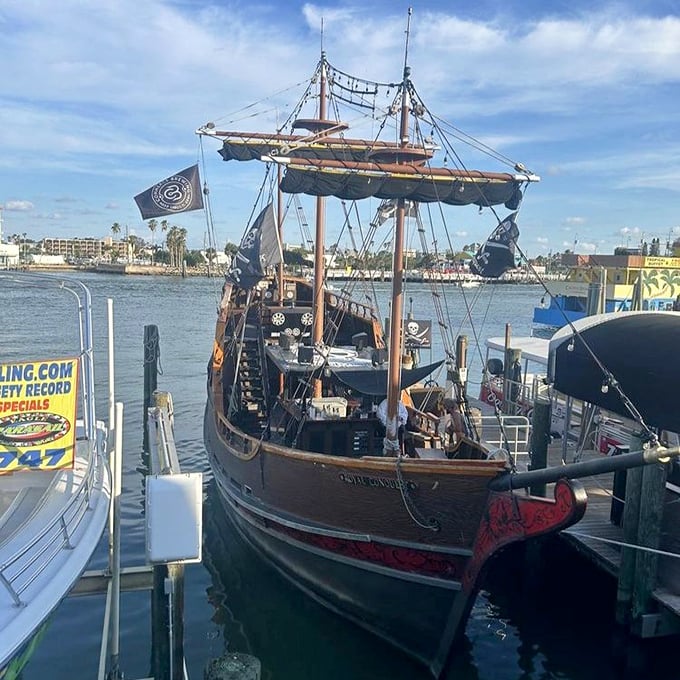Not all treasure is silver and gold—sometimes it's the memory of sailing on a pirate ship with dolphins racing alongside.
