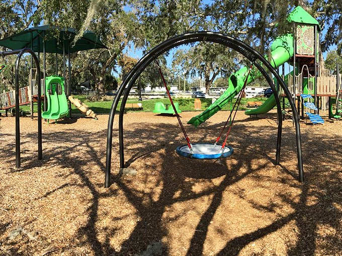 Playgrounds in Leesburg come with a side of dappled oak shade. Green slides and swings where generations of local kids have launched their imaginations.