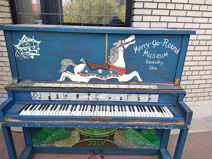When a piano retires from concerts and decides to celebrate carousels instead – musical reincarnation at its finest.
