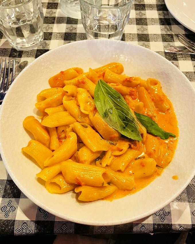 Rigatoni doing what rigatoni does best – holding onto sauce like its life depends on it.