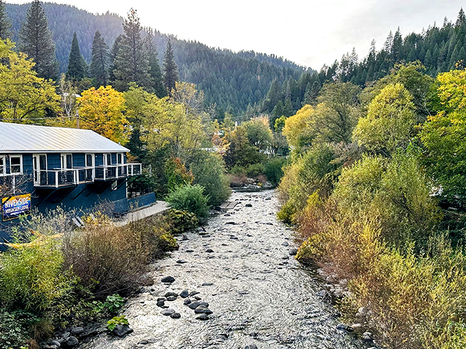Riverside accommodations in Downieville offer what no luxury hotel can – the soothing soundtrack of rushing water and mountain air that smells better than any designer candle.
