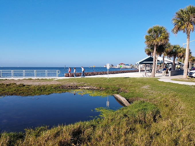 Robert J. Strickland Memorial Park offers waterfront views that would cost millions elsewhere. The dolphins perform free of charge.