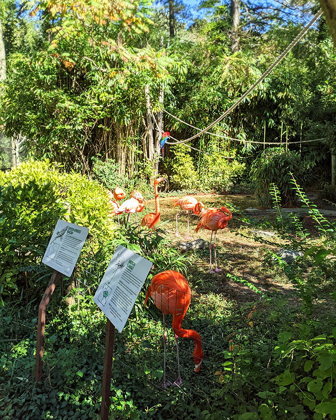 The Salisbury Zoo proves that world-class animal encounters don't always require a cross-country expedition.