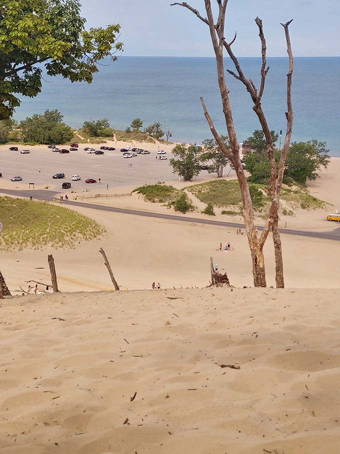 Nature's "stairmaster with a view." The weathered tree trunks stand like sentinels, guarding the path to beach paradise below.