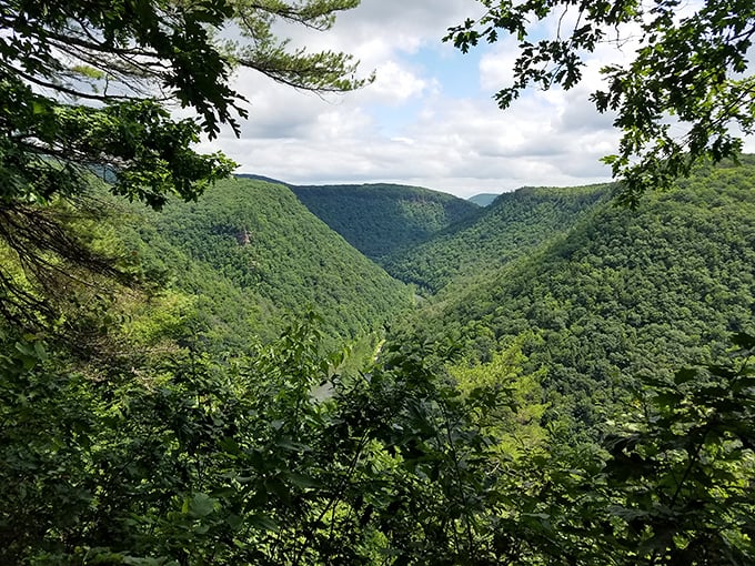 Layers of green mountains fold into each other like a verdant origami masterpiece. The kind of view that makes smartphone cameras seem woefully inadequate.