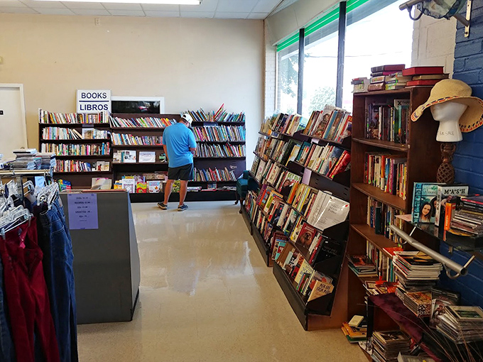 Book lovers, prepare to lose track of time—these shelves hold forgotten bestsellers and hidden gems waiting for rediscovery.