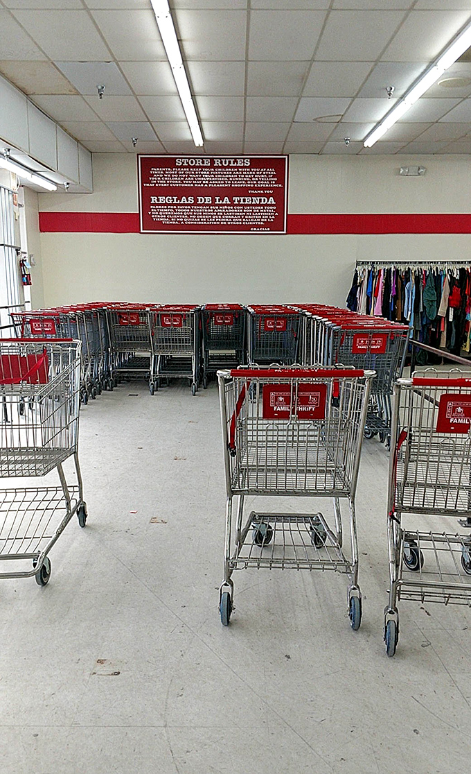 Shopping cart lineup—the thrifter's chariot of choice. Veterans know a good cart is as essential as a keen eye for quality fabrics.