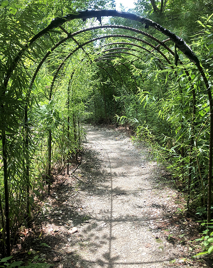 A bamboo tunnel creates a portal to another world. Walking through feels like entering a scene from "Crouching Tiger, Hidden Dragon"—minus the swordplay.