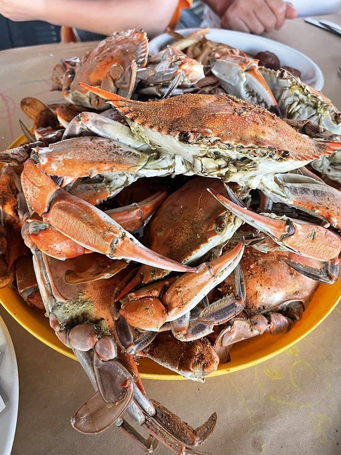 A mountain of steamed crabs dusted with spice—nature's puzzle boxes filled with sweet meat that rewards those patient enough to crack the code.