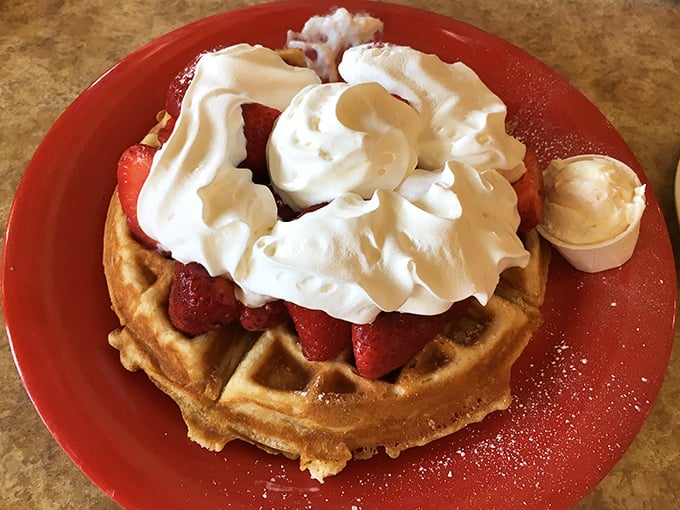 This waffle doesn't just carry strawberries and cream – it proudly displays them like jewelry on a red-plate runway. Breakfast or dessert? Yes.